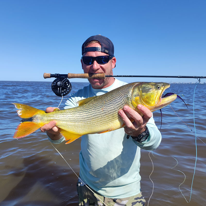 Buenos Aires Fly Fishing Trips - Golden Dorado